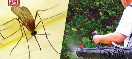 EcoVenger for Pest Professionals | Minimum Risk, Maximum Control