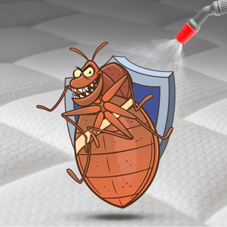 EcoVenger for Pest Management Professionals | ER-22 Insect Killer ...