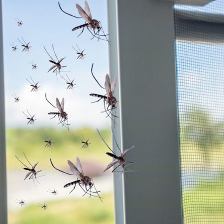 EcoVenger for Pest Management Professionals | ER-22 Insect Killer ...