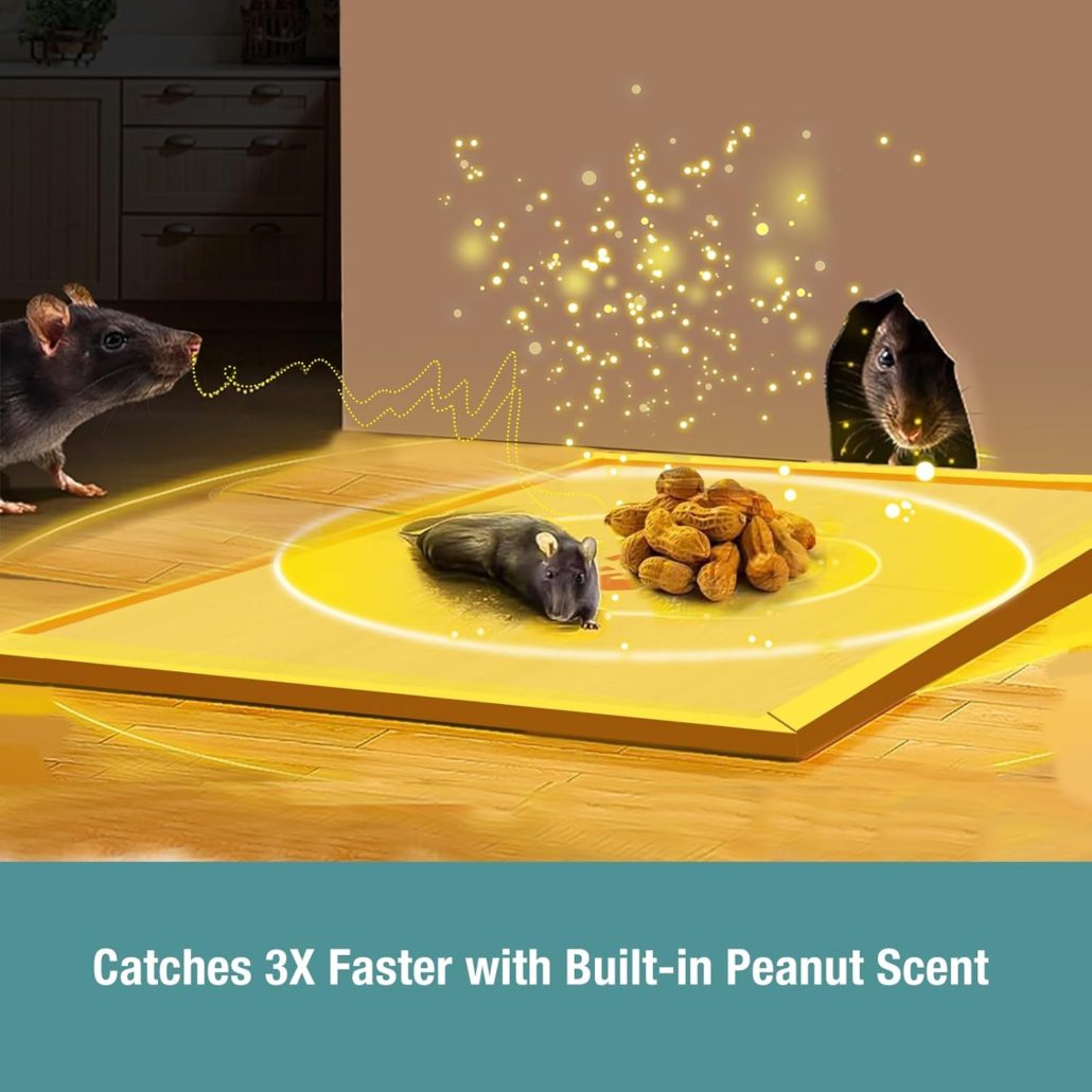 EcoVenger for Pest Professionals | ZingZap 13-Pack Peanut Scented Mouse ...